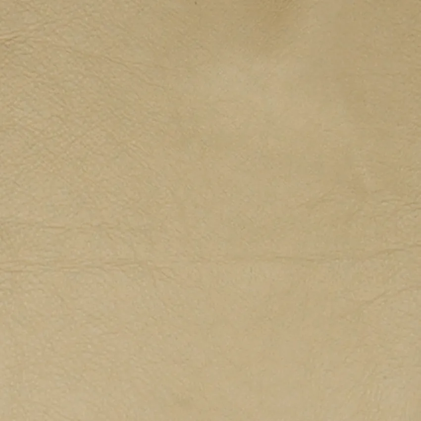 Ivory Polished Pearl Effect Protected South American Cowhide Finish ...