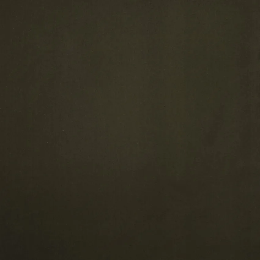 Loden Green Solid Solids Drapery and Upholstery Fabric by the Yard