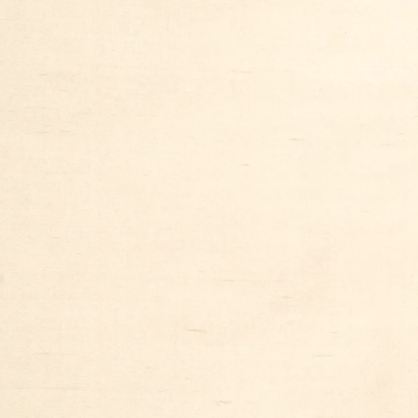 Linen Beige Solid Silk Solids Drapery and Upholstery Fabric by the Yard